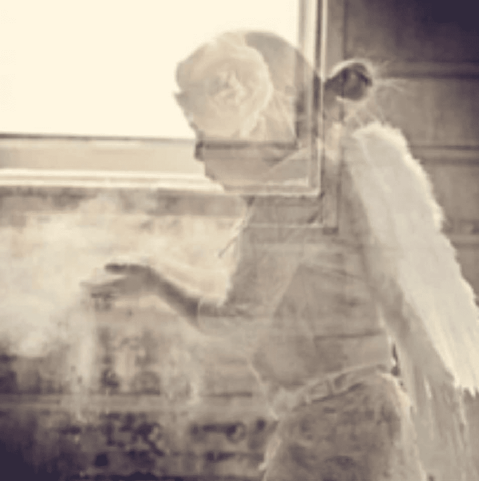 Fragrance Oils – FizzyWhiz
