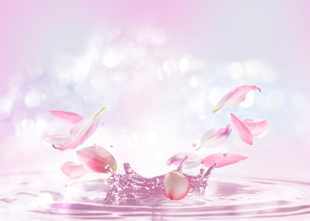 All Products – FizzyWhiz